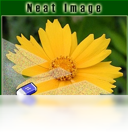 【Neat Image下载】2022年最新官方正式版Neat Image免费下载 - 腾讯软件中心官网